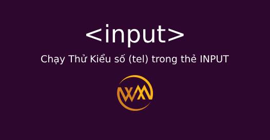 Chạy Thử Kiểu số (tel) trong thẻ INPUT