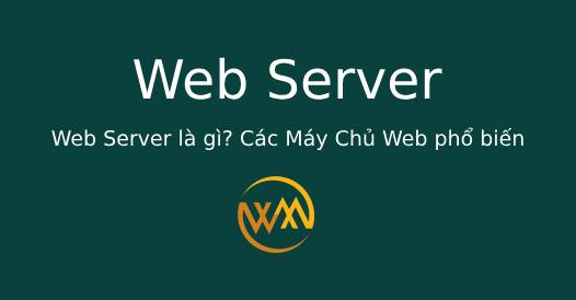 Web Server là gì? Các Máy Chủ Web phổ biến